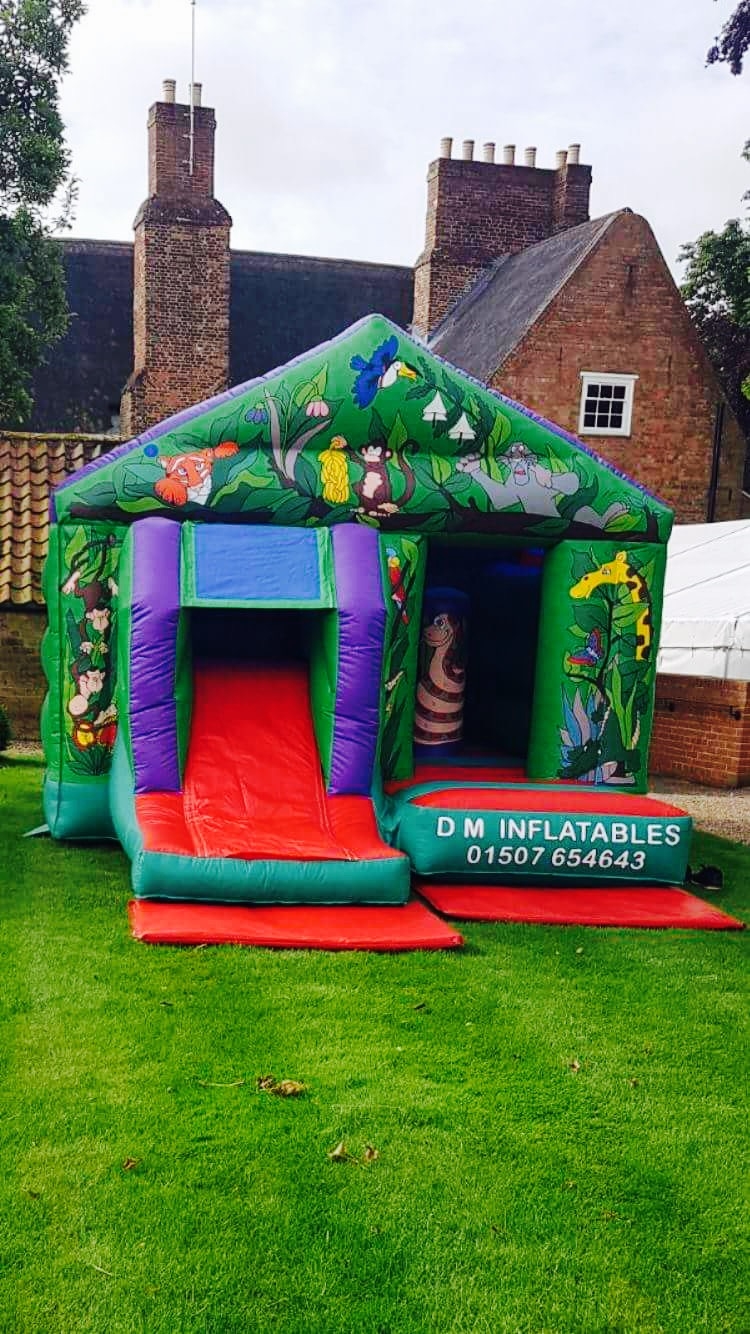 Jungle Theme Bouncy Castle & Slide - Bouncy Castle Hire in Louth ...
