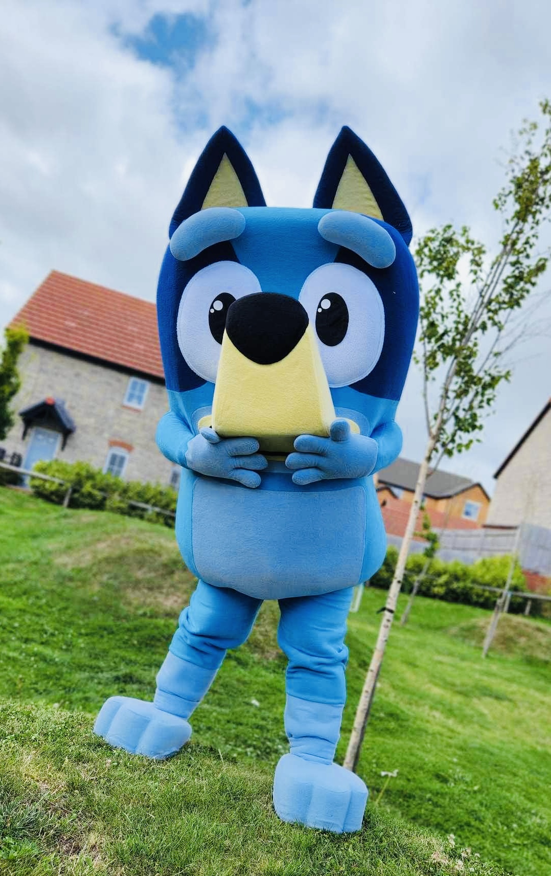 Bluey Mascot - Inflatable Hire and Children’s Party Provider in ...