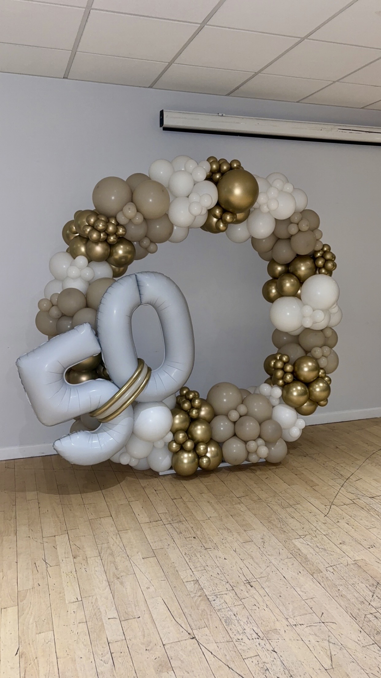 Full Balloon Hoop - Hire, Balloon Displays, Bouncy Castle, Soft Play in ...