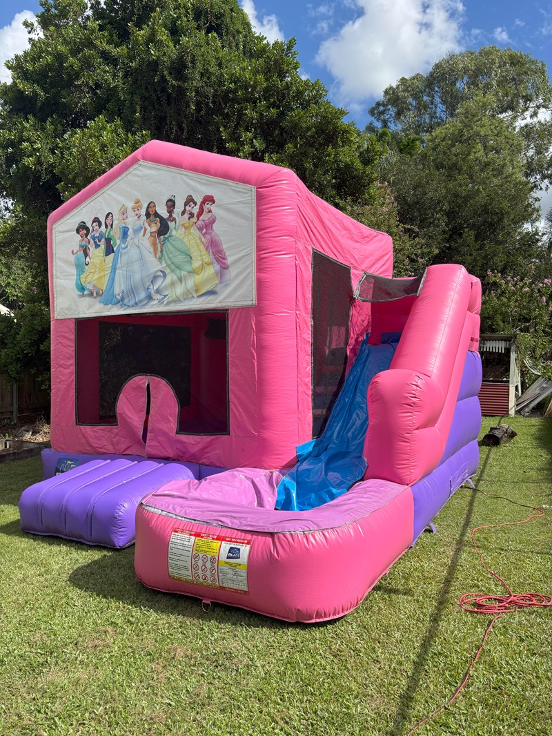 4x5 Pink Princess Themed Slide Jumping Castle - Jumping Castle Hire in ...