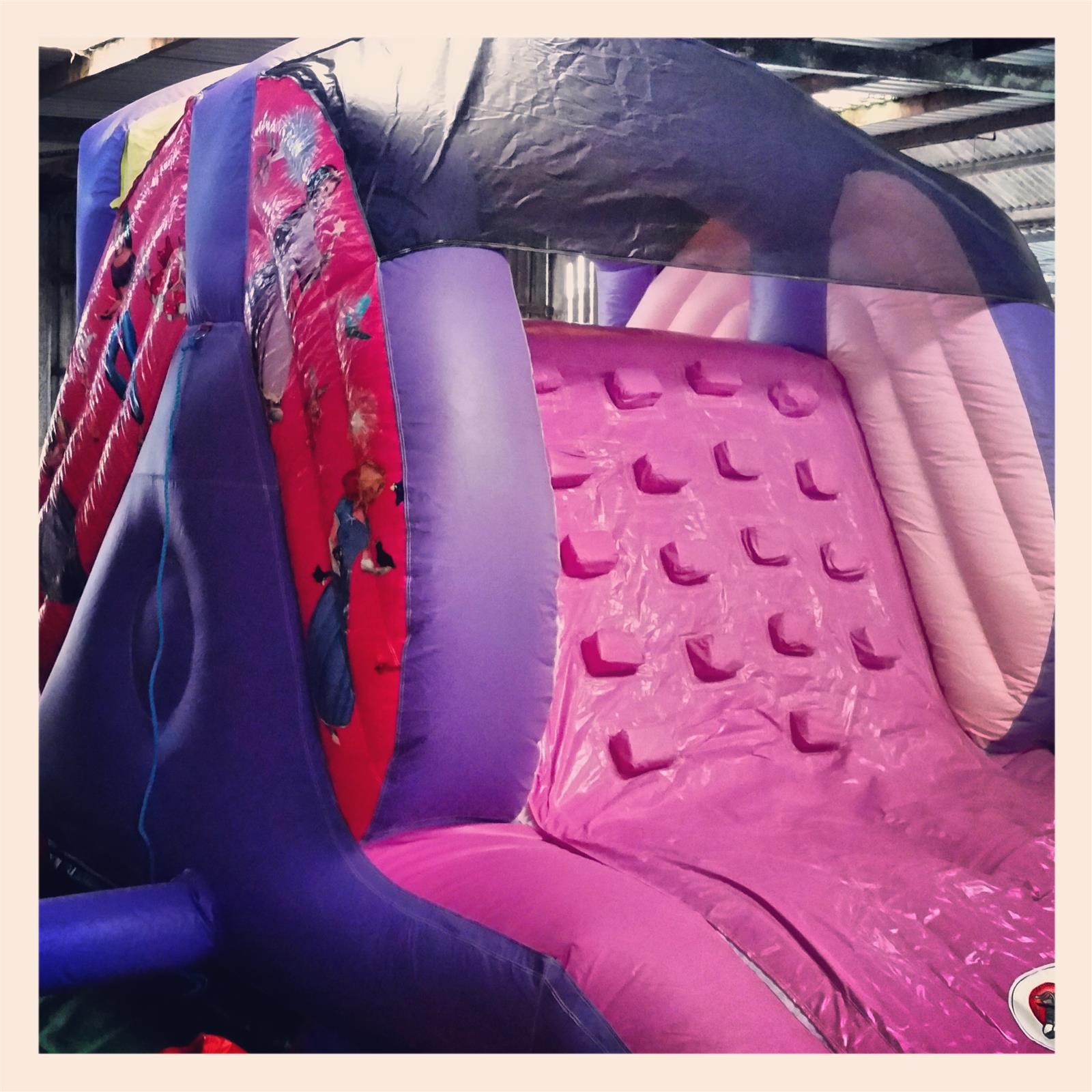 Pink Princess Slide | Inflatable Hire Pembrokeshire, Swansea