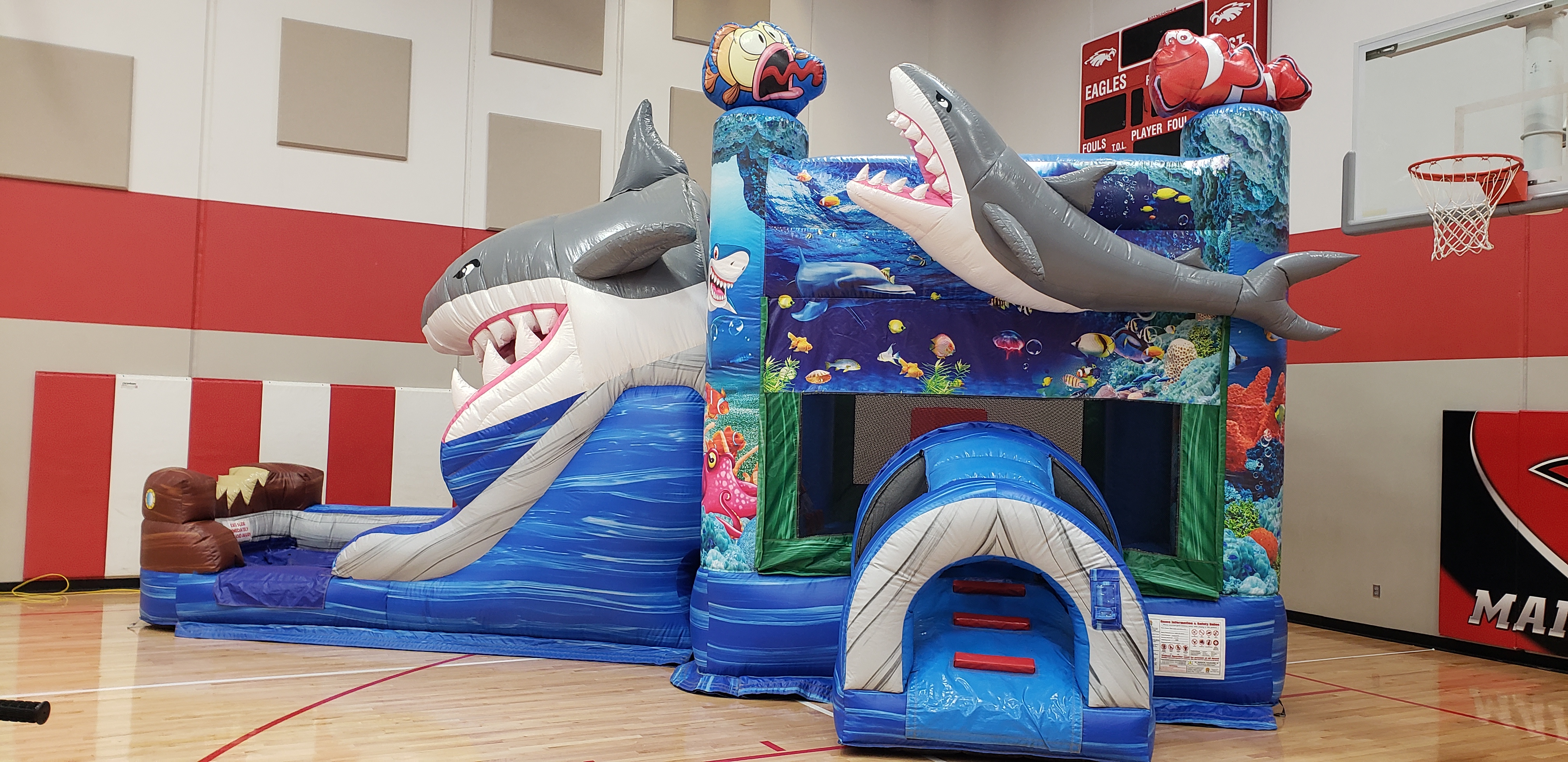The Shark Combo - Hire in Kansas | Techbox Rentals