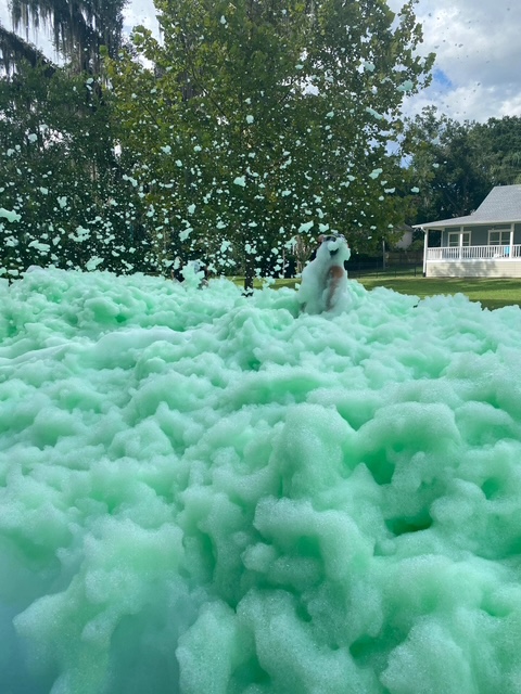 Color Foam Parties - Party Rentals in MI | Preferred Party Rentals