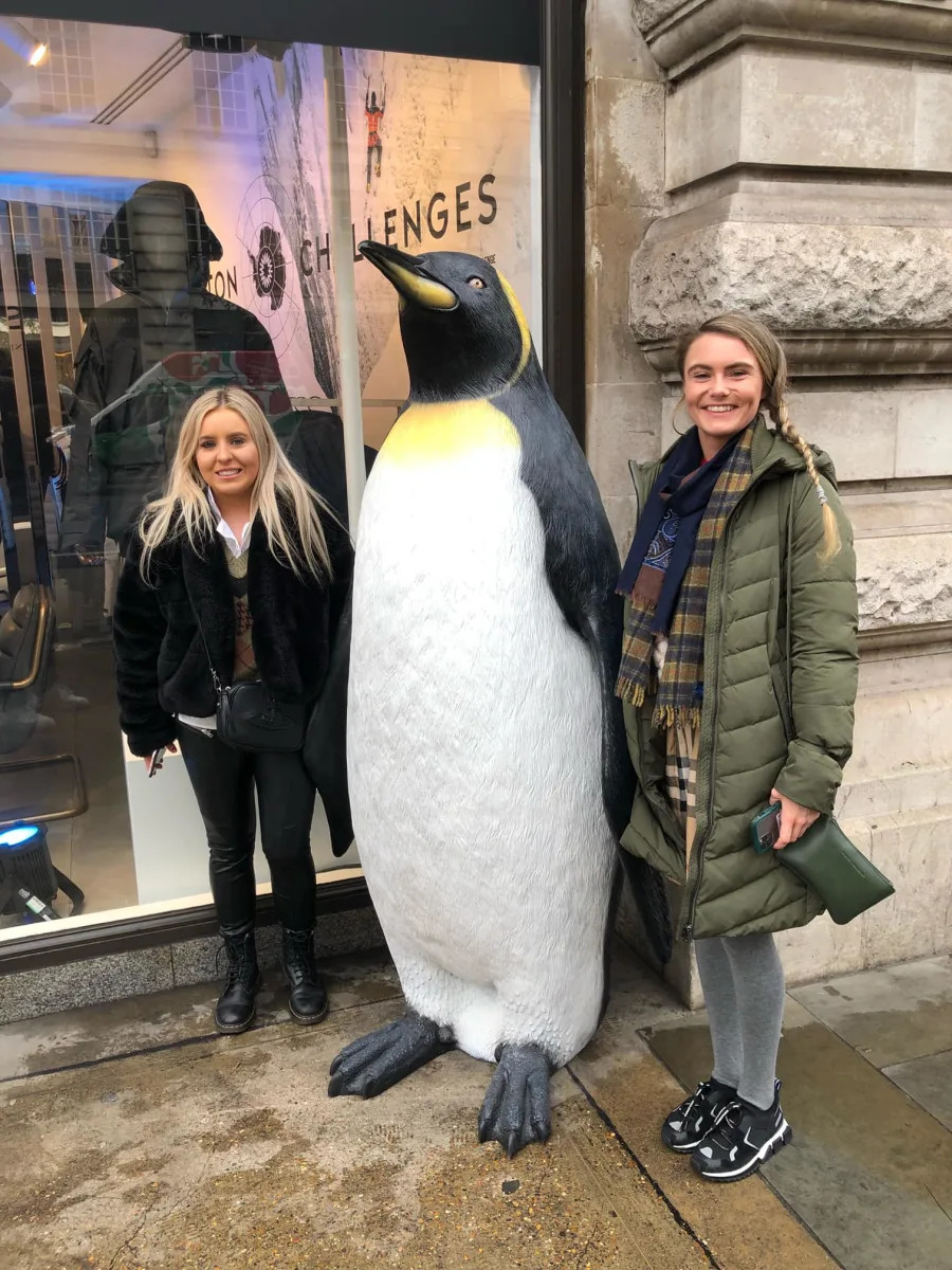 Life Size Penguin Prop - Bouncy Castle Hire in Gillingham, Chatham ...