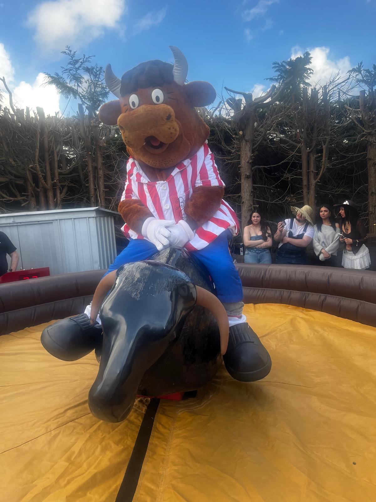 Rodeo bull hire Birmingham and West Midlands