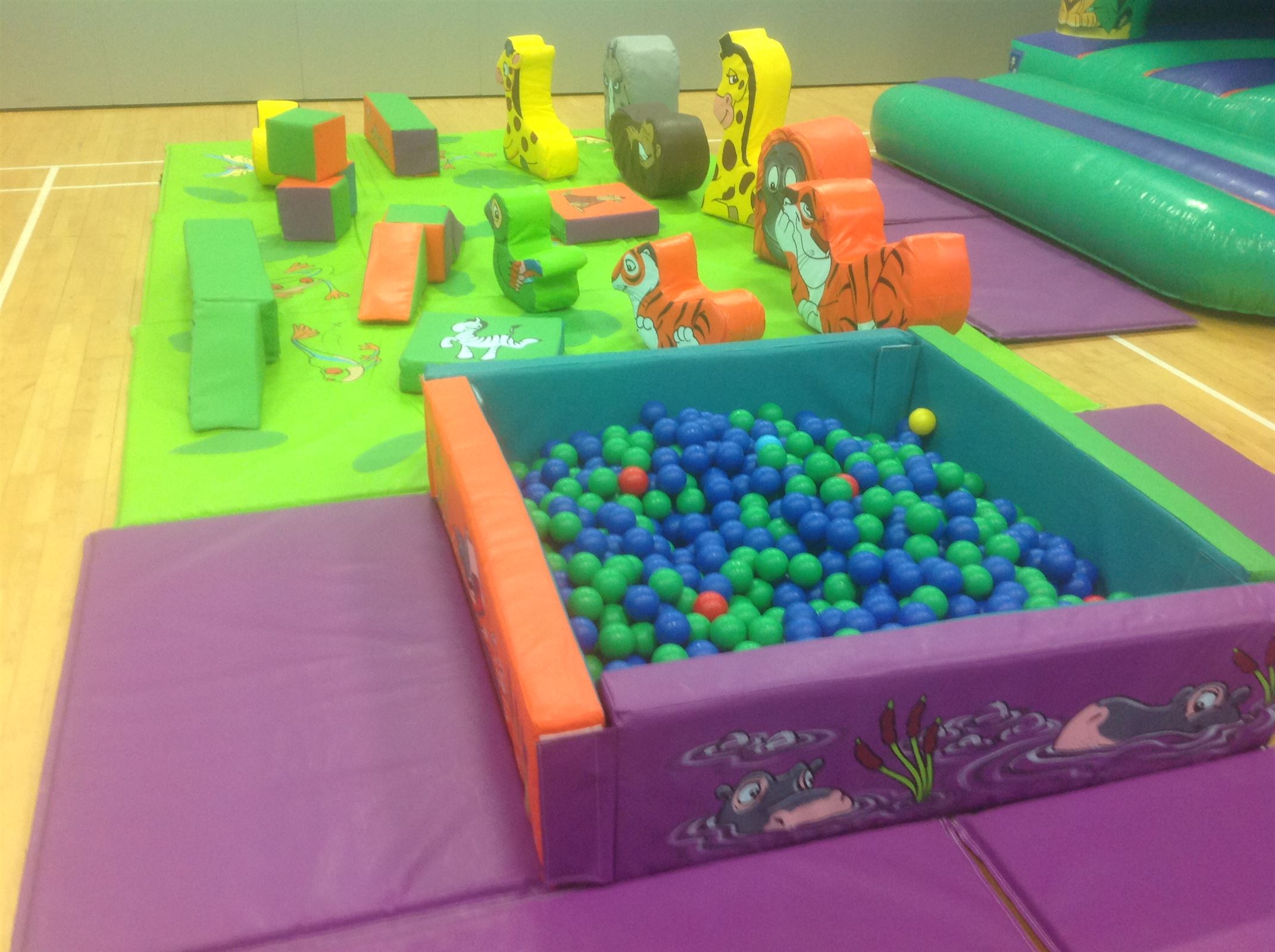 New Jungle soft play with ball pond - Bouncy Castle Hire in Chichester ...