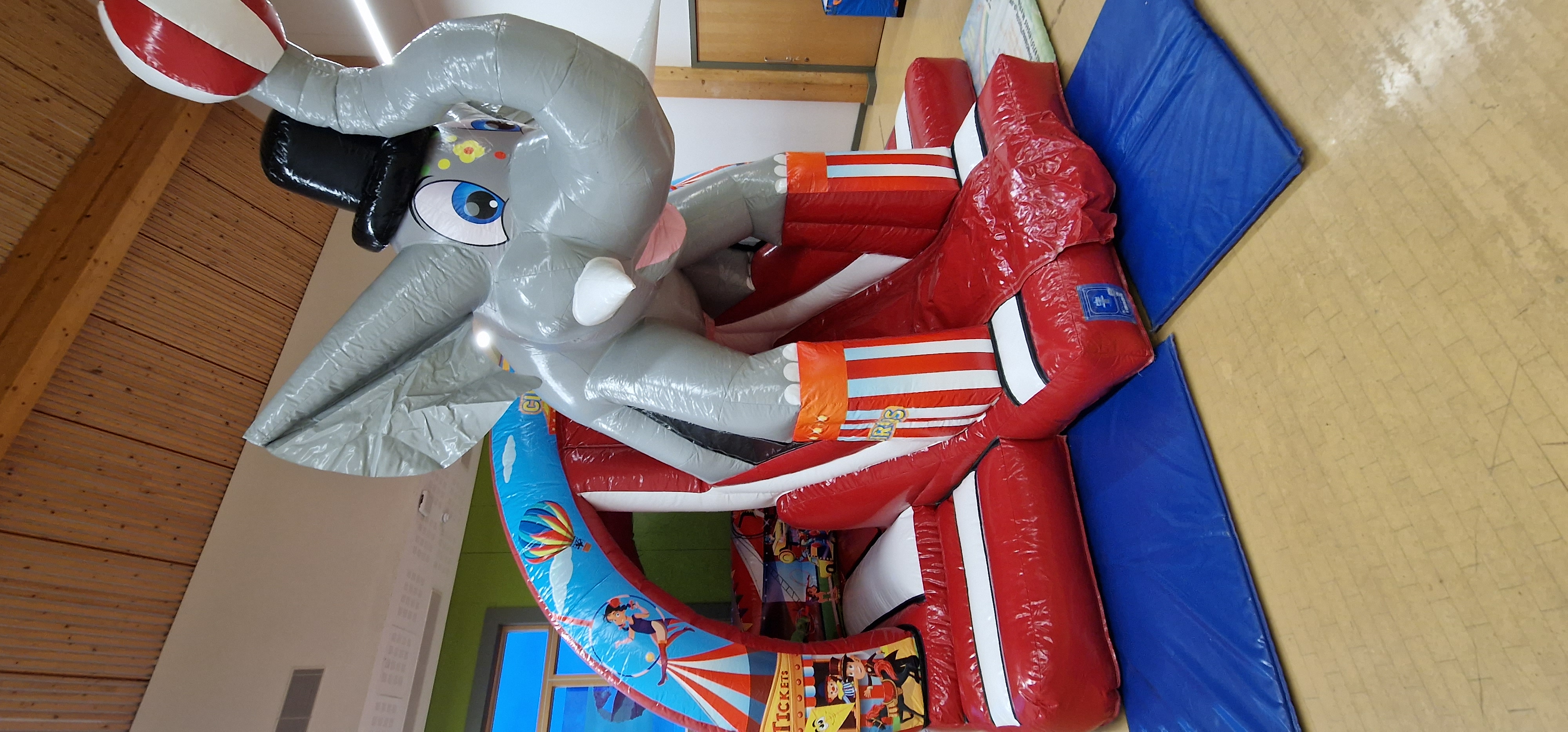 Circus slide castle - Bouncy Castle Hire & Soft Play Hire in Pulborough ...