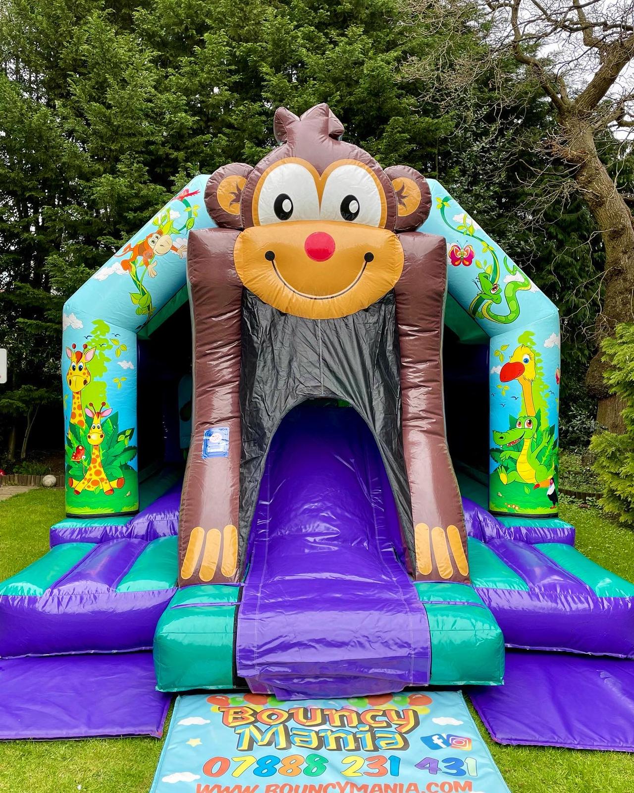 Cheeky Monkey Bounce n Slide - Bouncy Castle Hire in Greater London