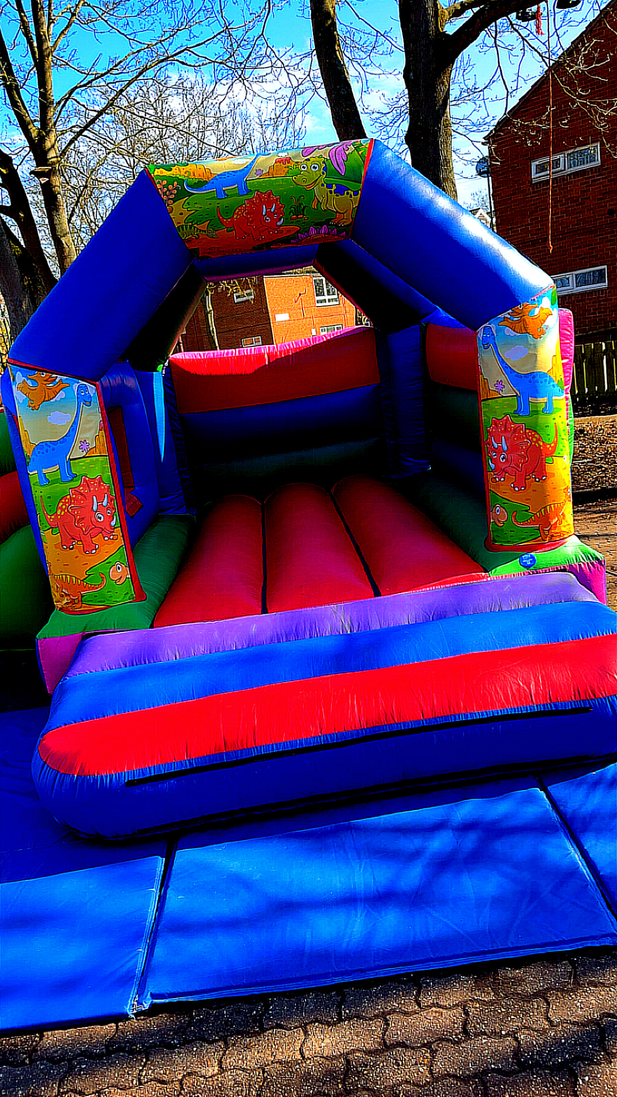 Dinosaur Slide Combi Castle 15x18x9.5 - Bouncy Castle Hire in ...