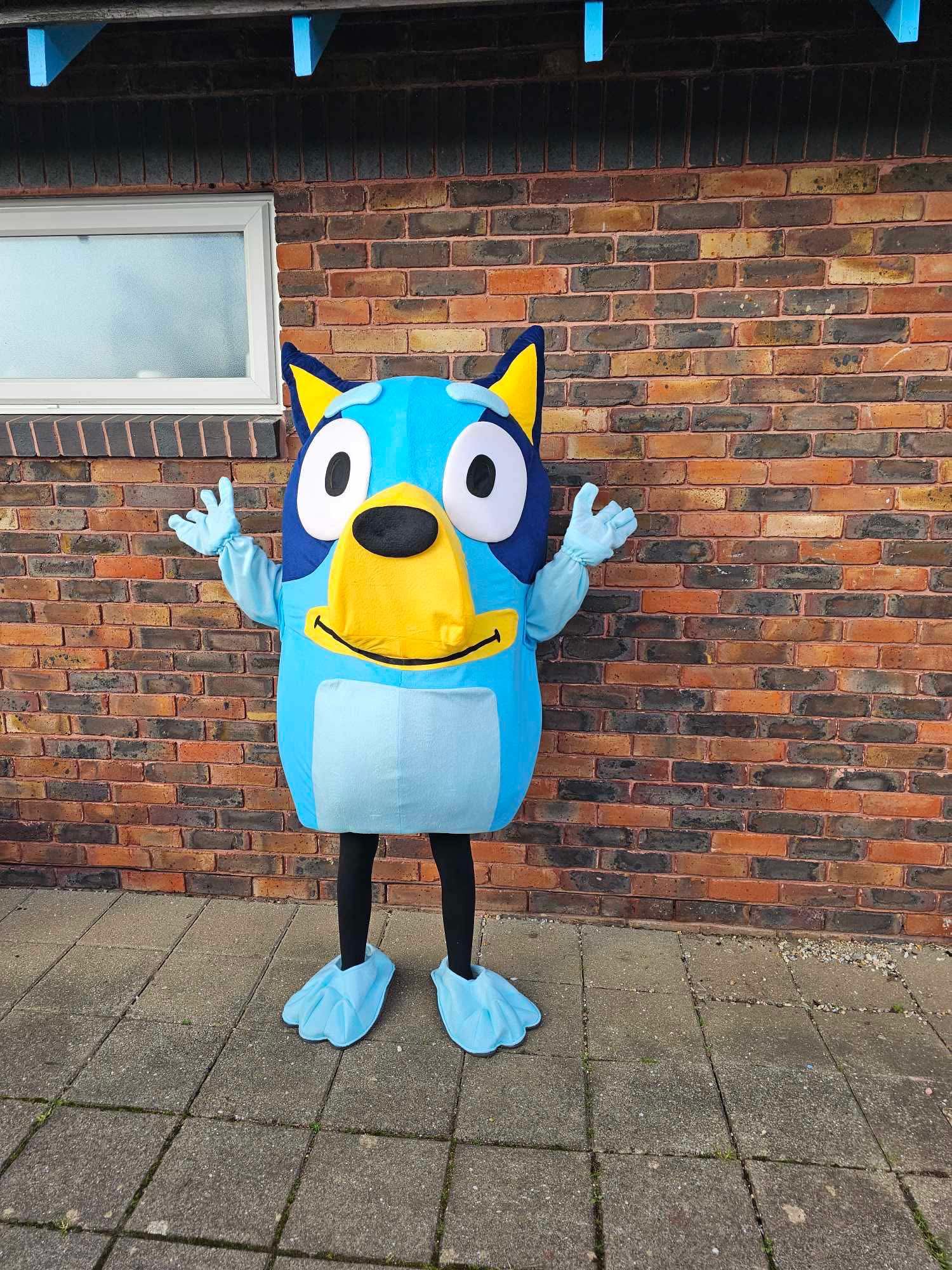 Bluey mascot hire - Best Mascot Hire Service in Portsmouth