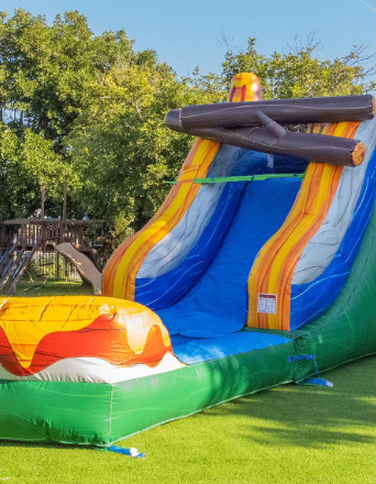 T-Rex Rampage XL Combo - Bounce House Rentals, Jumper Rentals, Obstacle ...