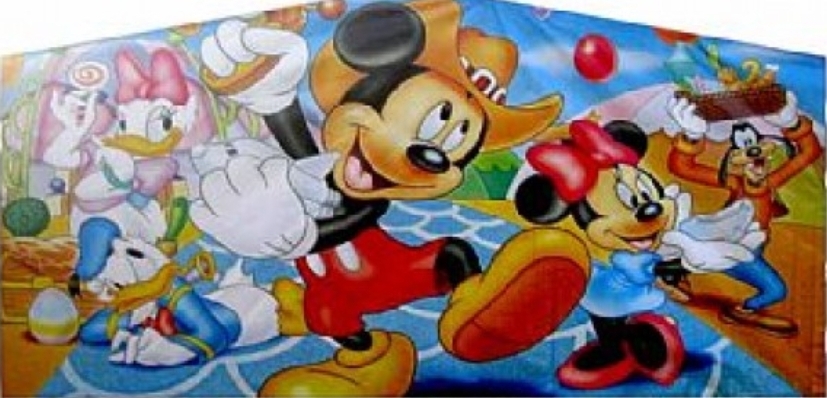 Mickey Mouse - Hire in florida | jumping 4 joy