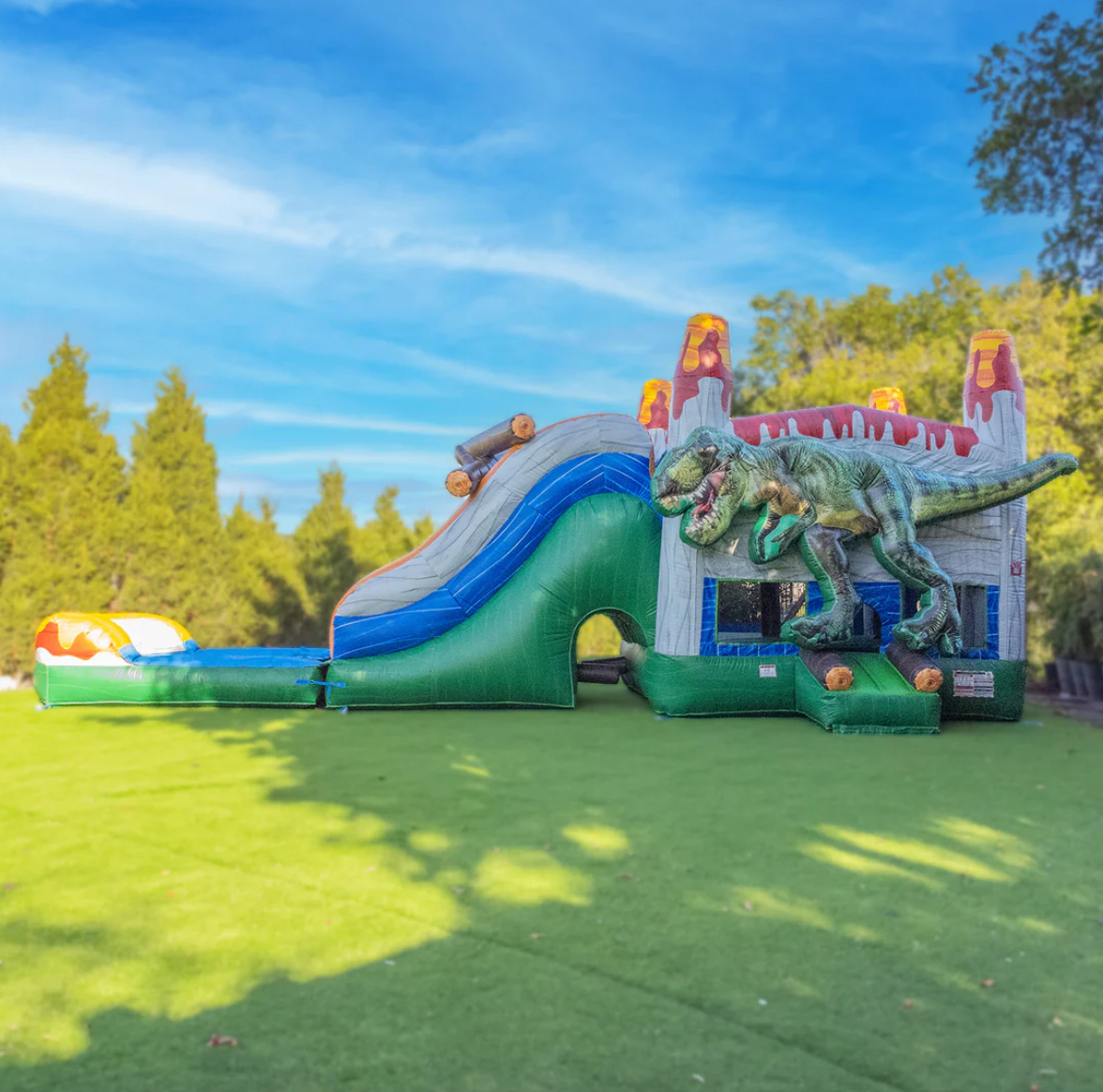 Dinosaur Combo Wet/Dry (Detachable Pool) - Richland County Party ...