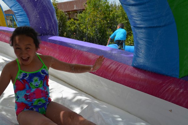 Double Lane Wild Splash Slip & Slide (Wet Play Only) - Bouncy Castle ...