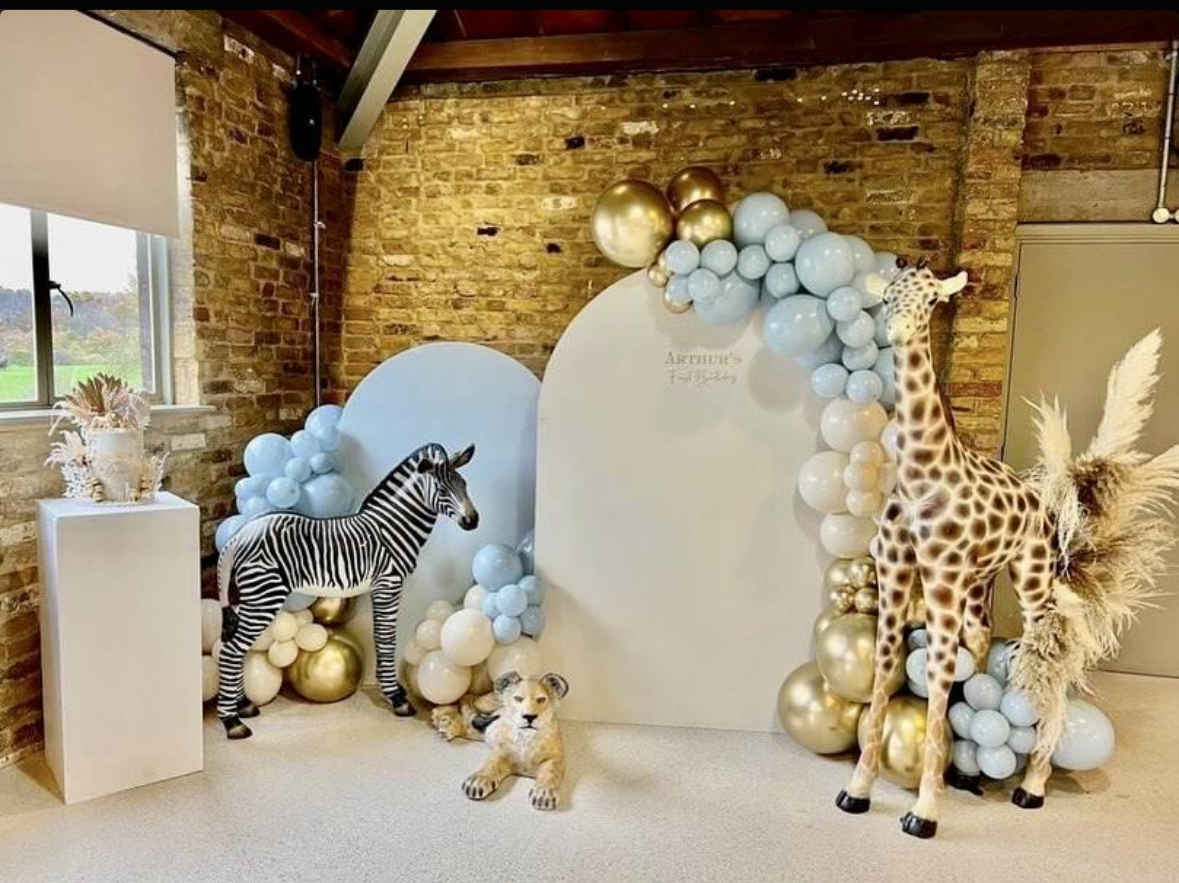 Zebra Animal Prop Hire
