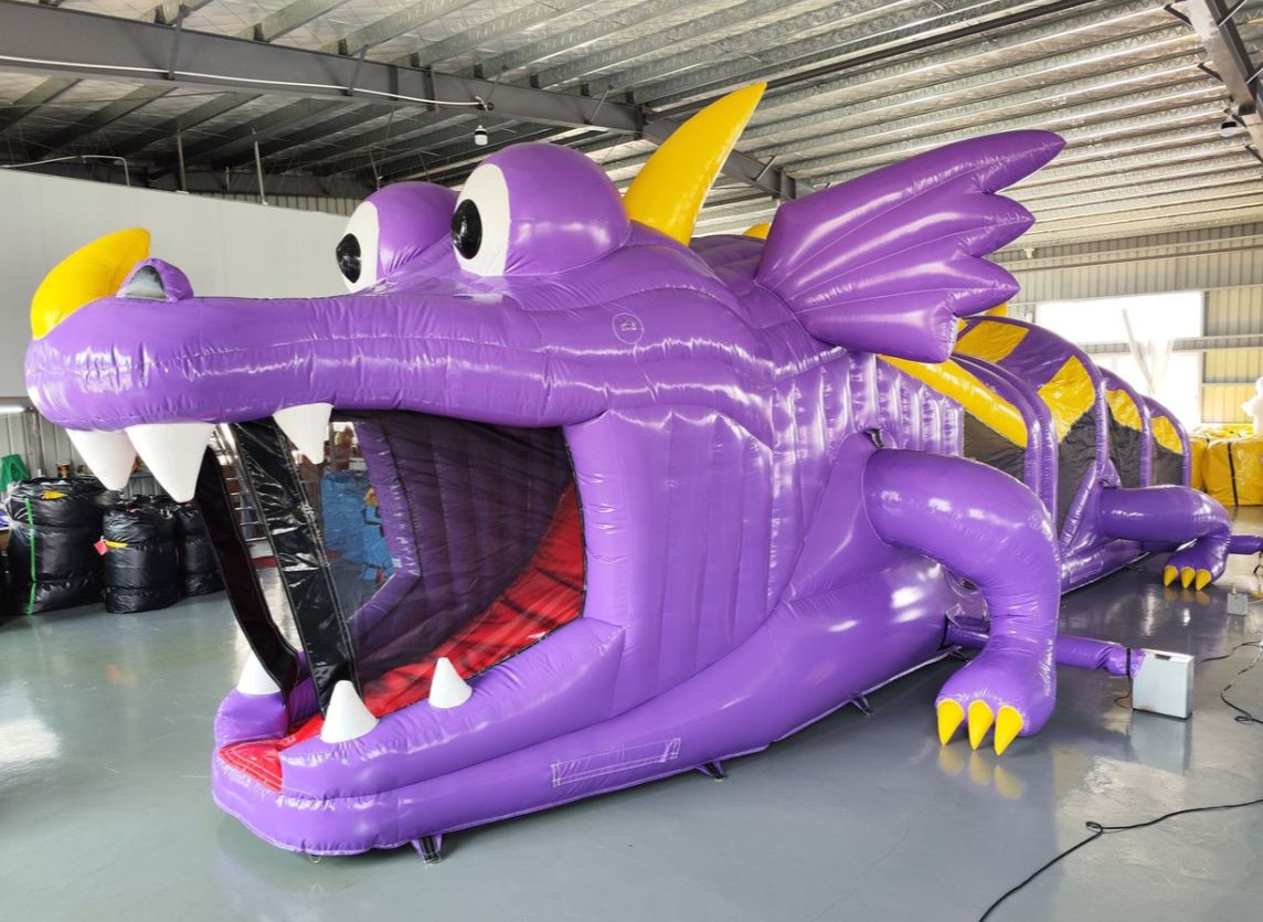 Purple Dragon Obstacle Course - Bouncy Castle Hire in Wexford Town ...