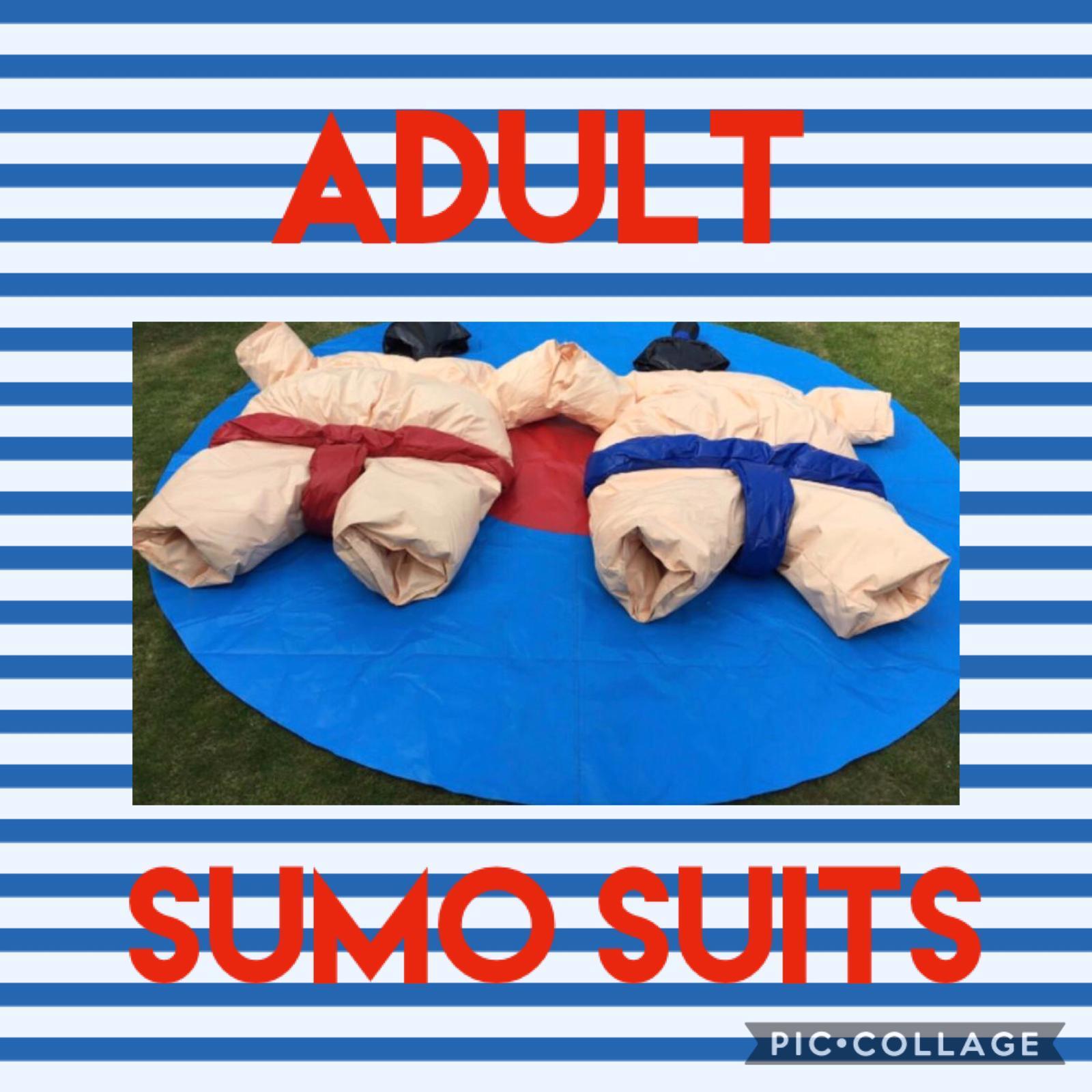 Adult Sumo Suits - Hire in York and surrounding | BIG N BOUNCY CASTLE HIRE