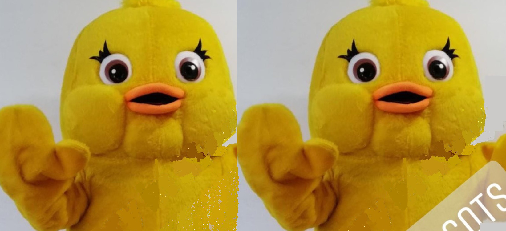 M-Ducksy (yellow ducks) - Bouncy Castle, Softplay and Mascot Hire in ...