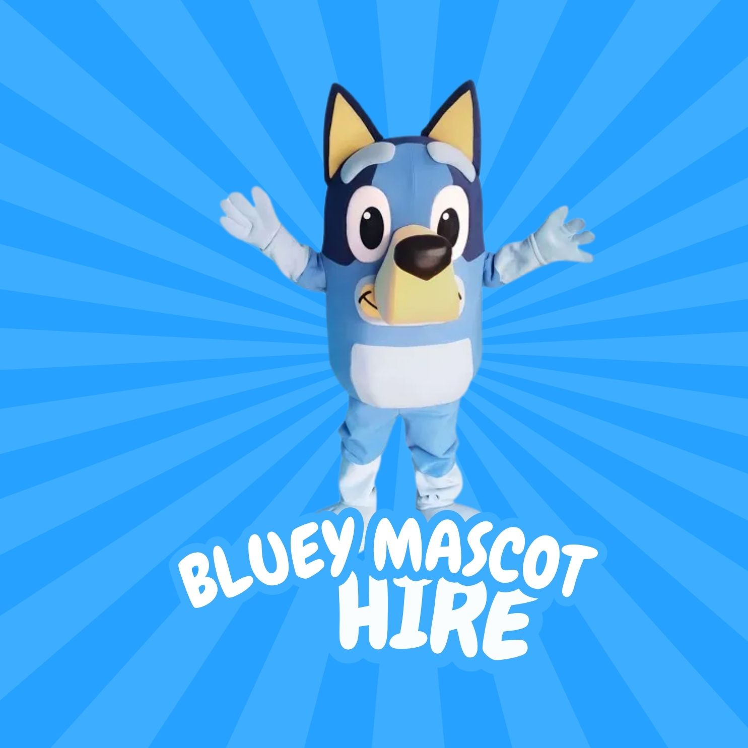 Bluey Mascot Hire in Bristol, Newport & Chepstow | Fun & Friendly Kids