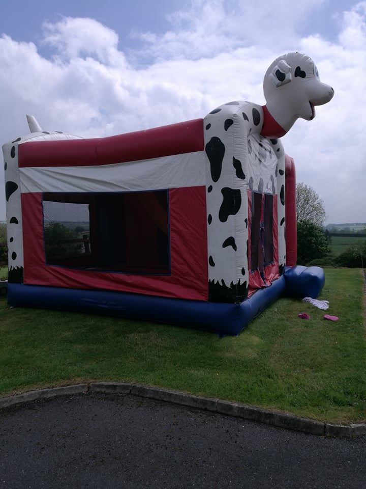 Puppy Castle - Ice-Cream van, Bouncy Castle Hire in Macroom ...