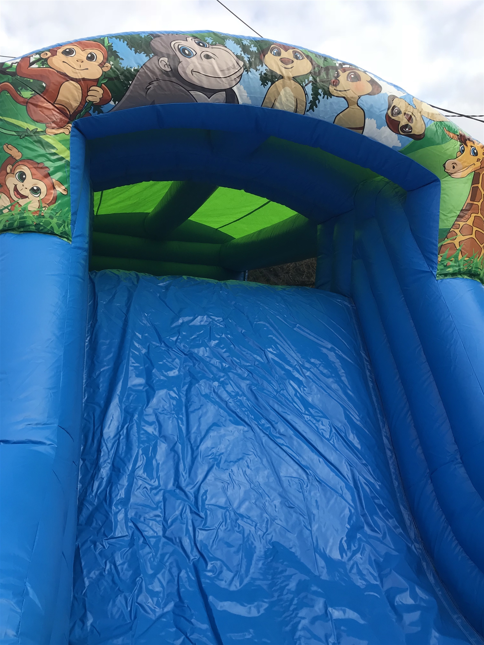 Jungle Fun Run Hire