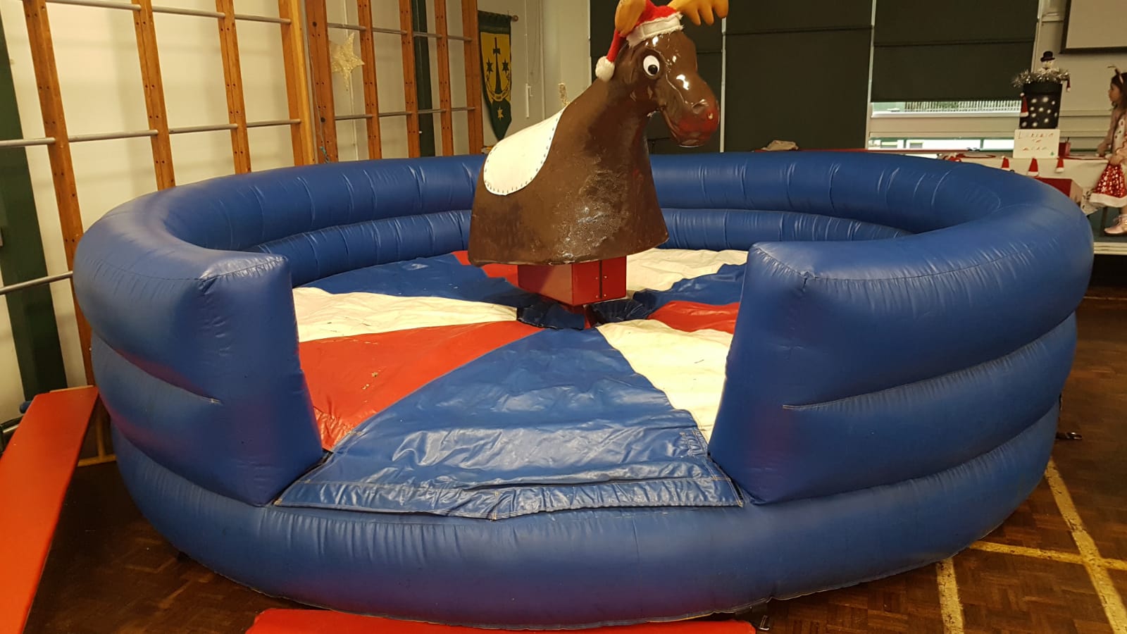Rodeo Reindeer Hire, Christmas Rodeo Reindeer Rental, UK
