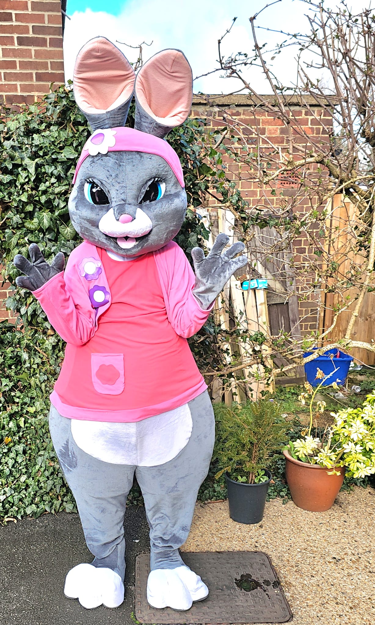 Adult Mascot Costumes 4 SALE - Best Bouncy Castle, Softplay and Mascot ...