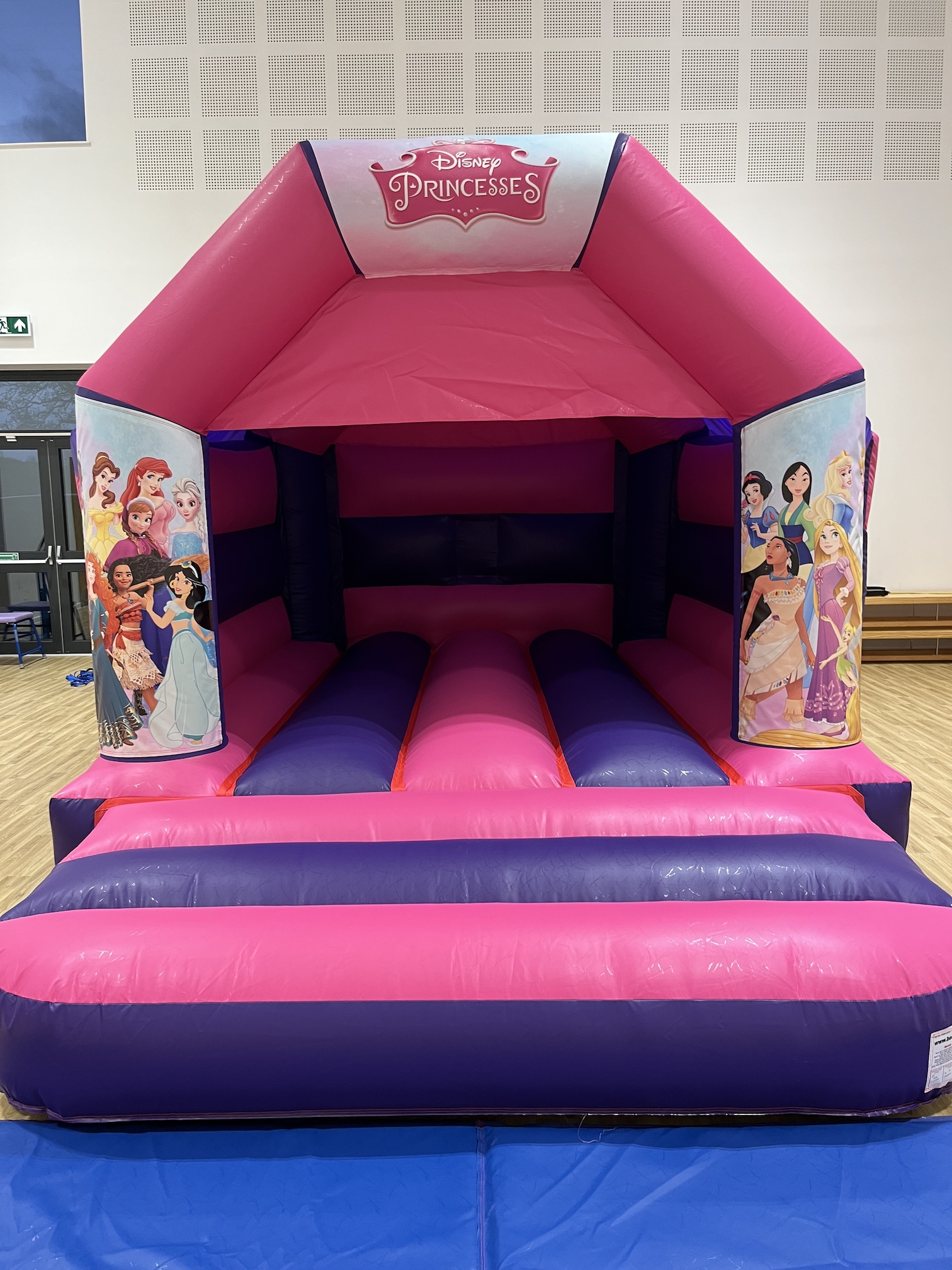 Princess Bouncy Castle Hire in Barnstaple, North Devon