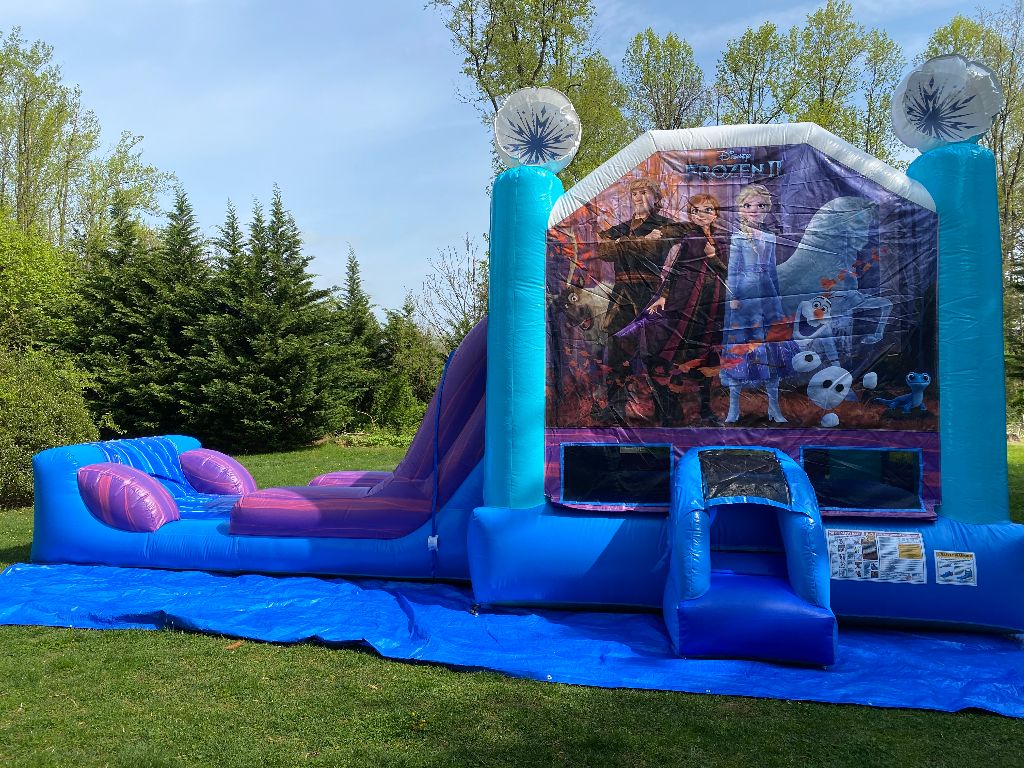 Disney Frozen Combo Wet or Dry - Hire in Pennsylvania | Jets Bounce ...