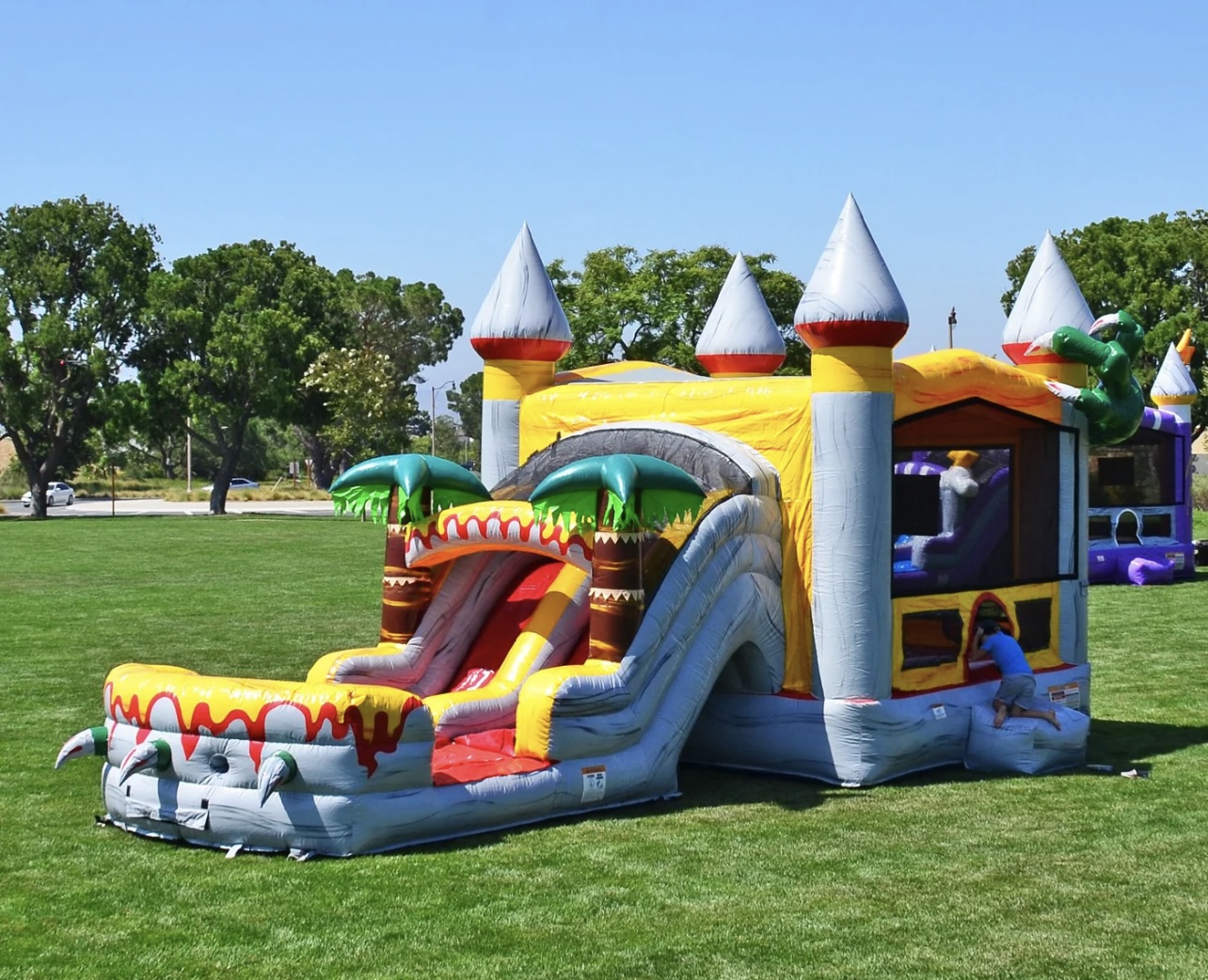 Water Slides - Inflatables Rental in fl | All American Inflatables