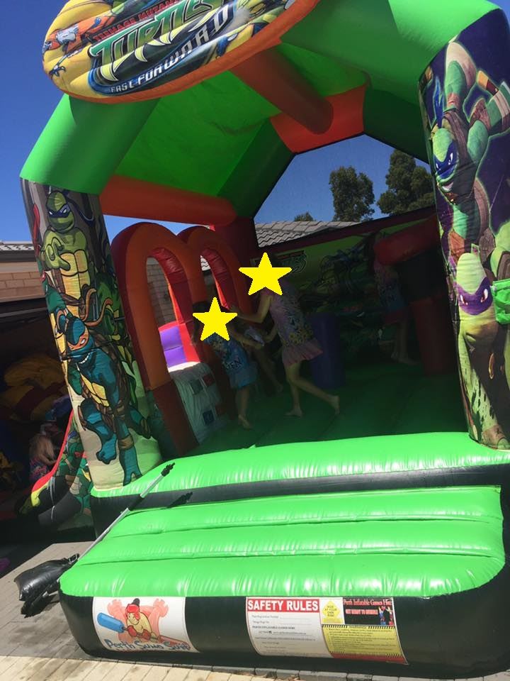Ninja Turtles Double Slide Combo - Bouncy Castle Hire and Water Slides ...