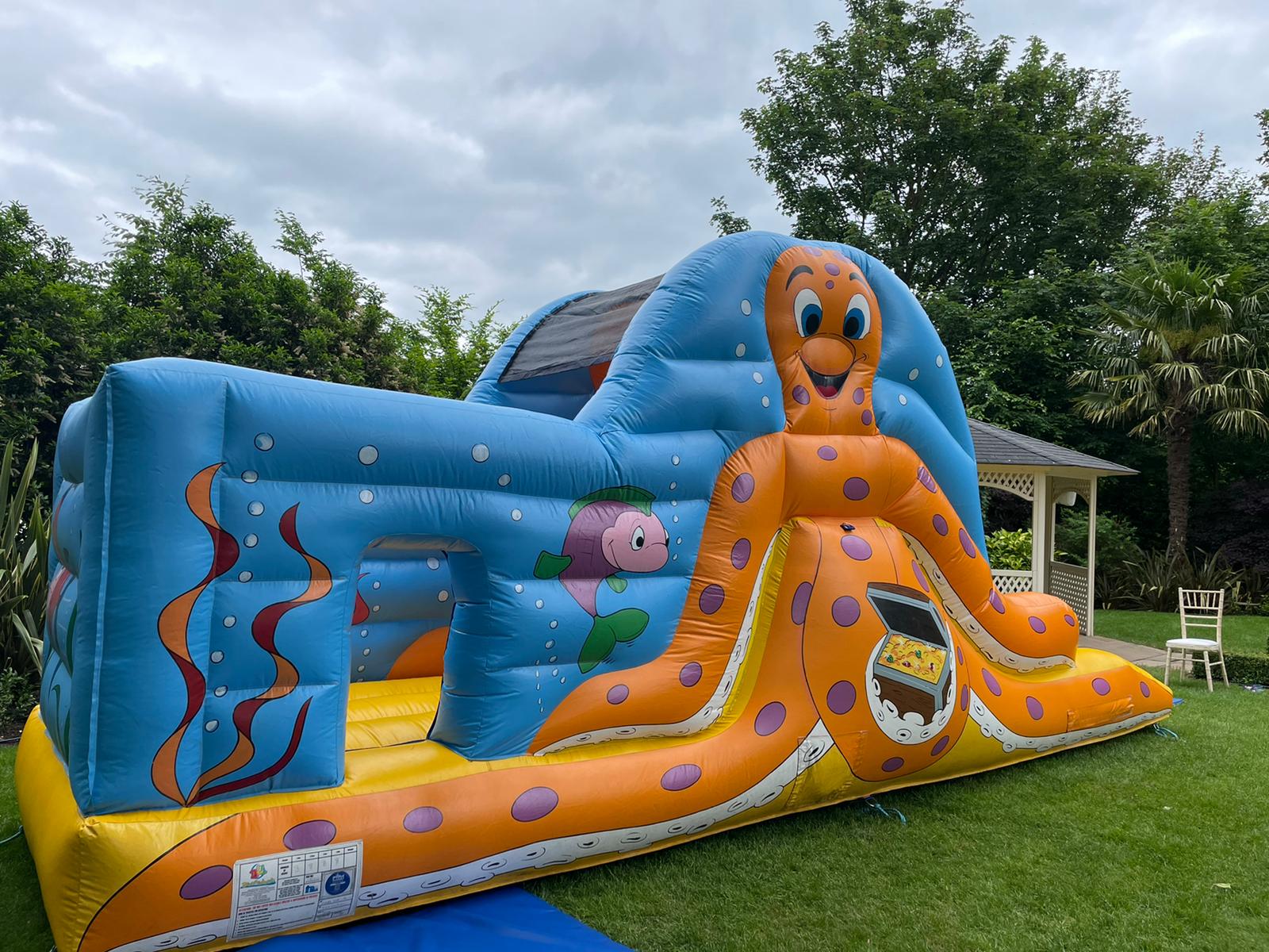 Octopus Slide - click me for description & more pics - Bouncy Castle ...
