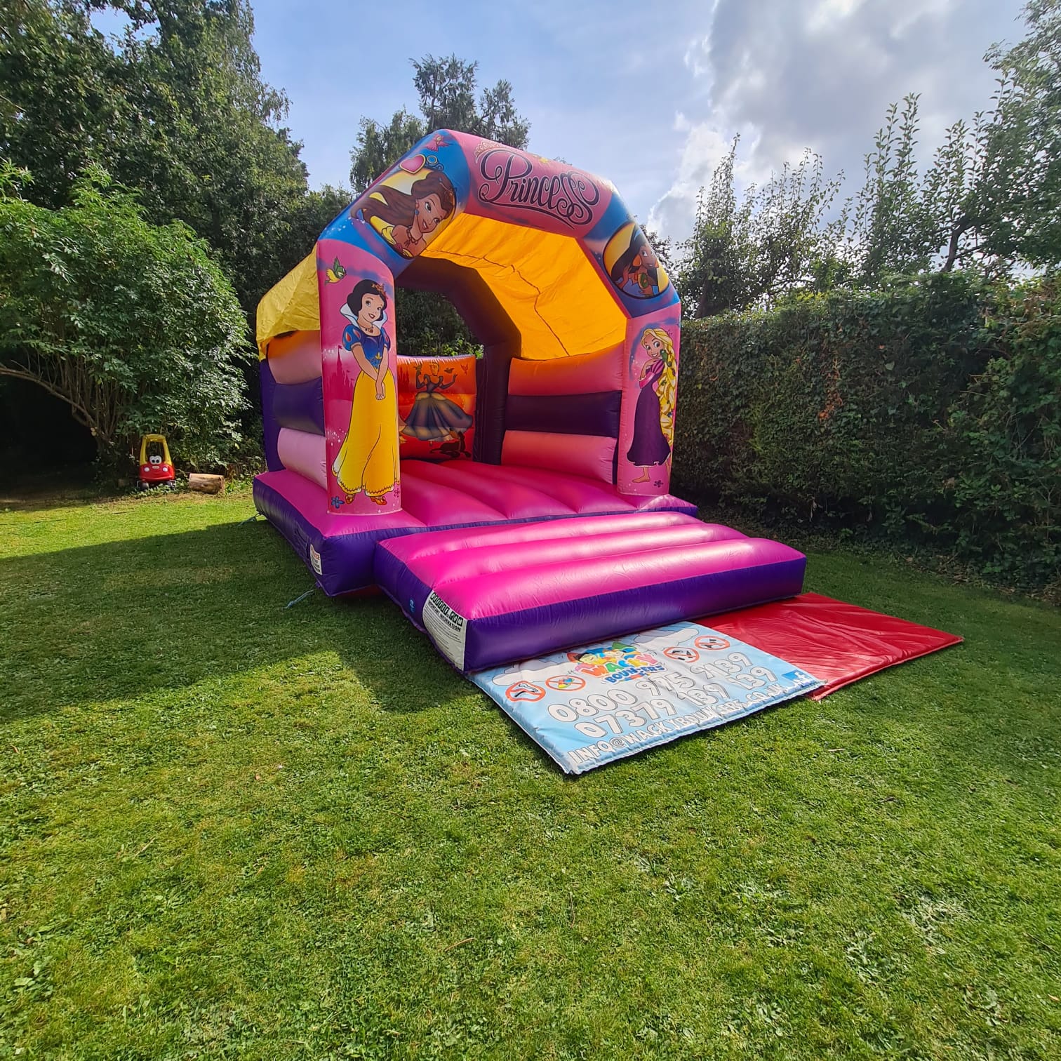 Princess Themed Bouncy Castle With Pink And Purple Air Juggler Ball ...