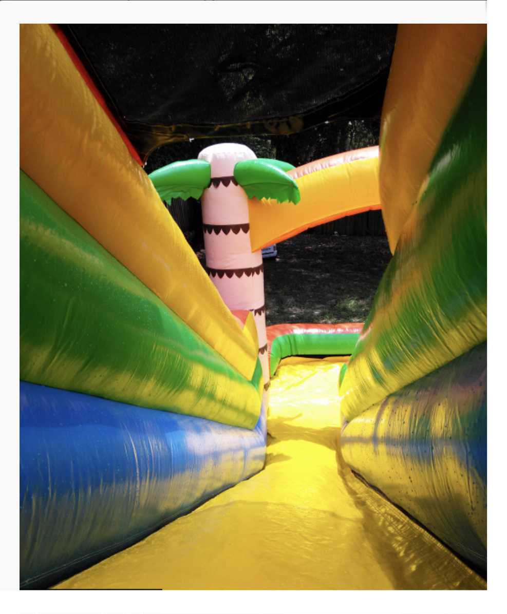 ADVENTURE ISLAND DUAL LANE TROPICAL COMPETITIVE SLIDE WET - Inflatable ...