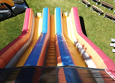 Wacky (22') Dual Slide - Rentals in Wisconsion | Blue Sky Inflatables, LLC