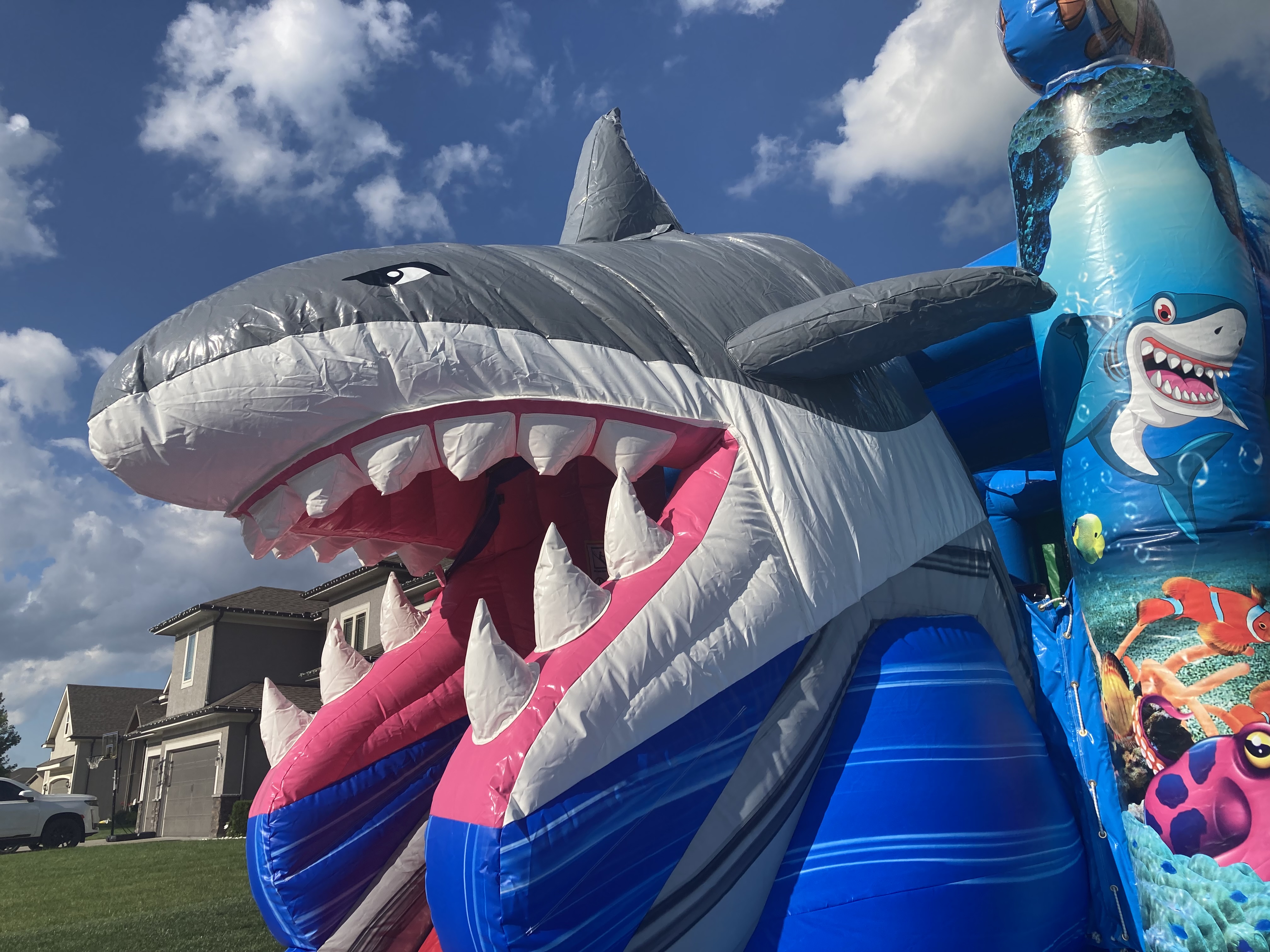 Shark Attack Bounce house with Dry Slide - Hire in Missouri | Summit Bounce