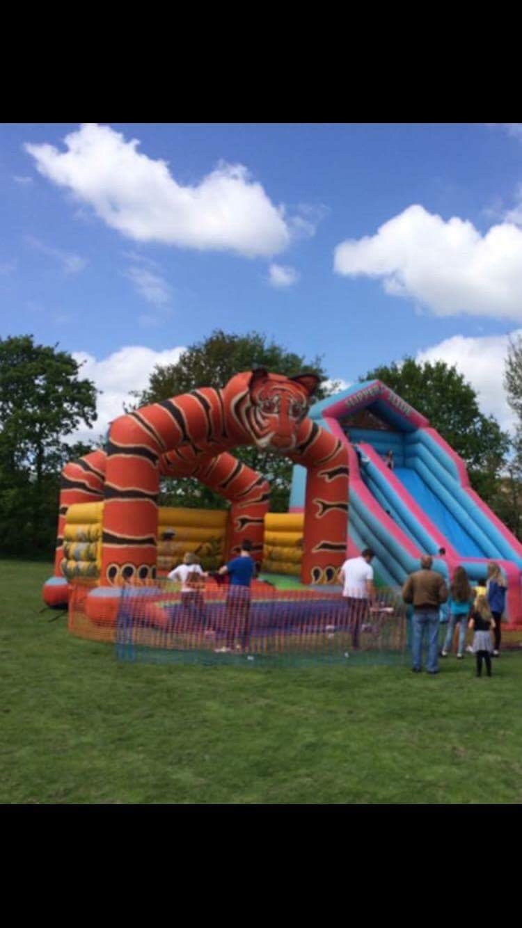 Tiger Bouncy Castle - Children's Fairground Rides,. Bouncy Castles ...