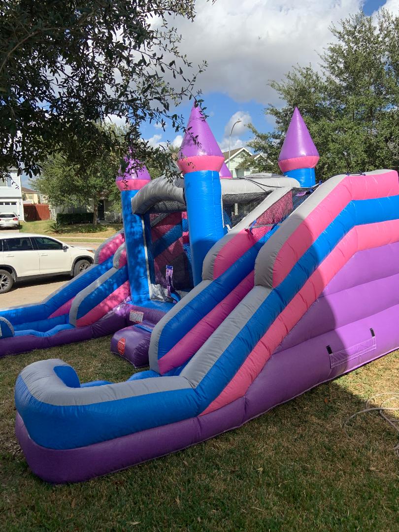 Double slide bounce house - rentals in HOUSTON, TX