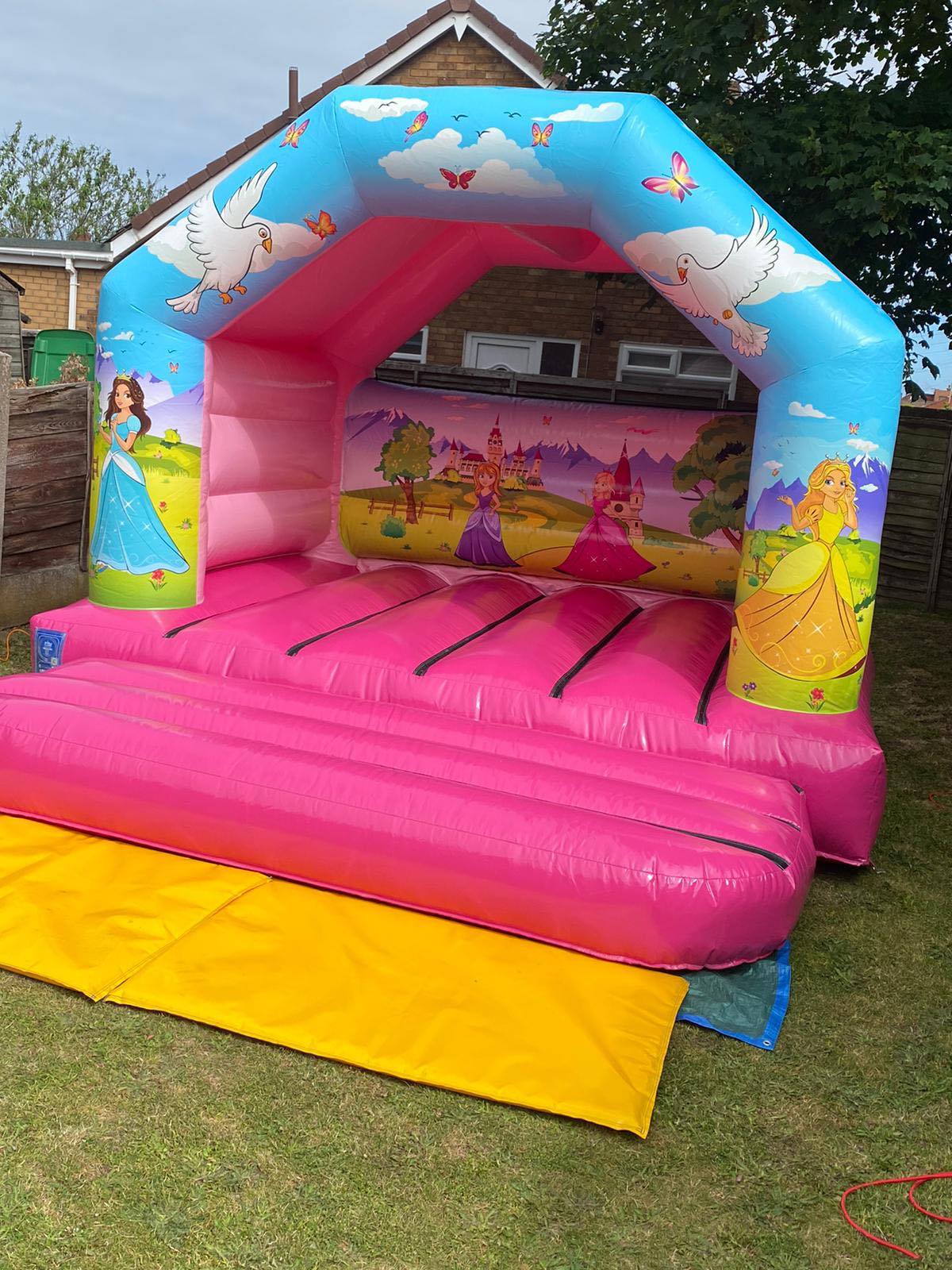 Pink Princess Bouncy Castle 12ft x 12ft - Bouncy Castle Hire in ...