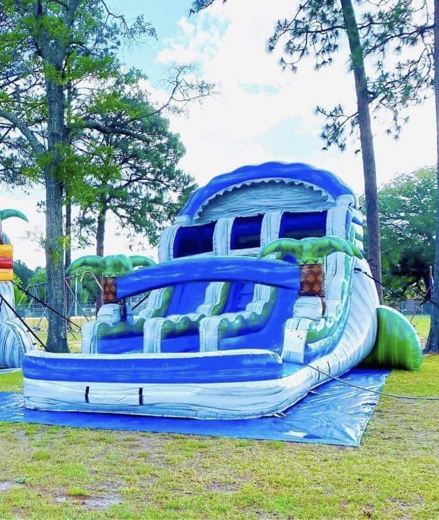 Water Slides - Rentals in South Ga