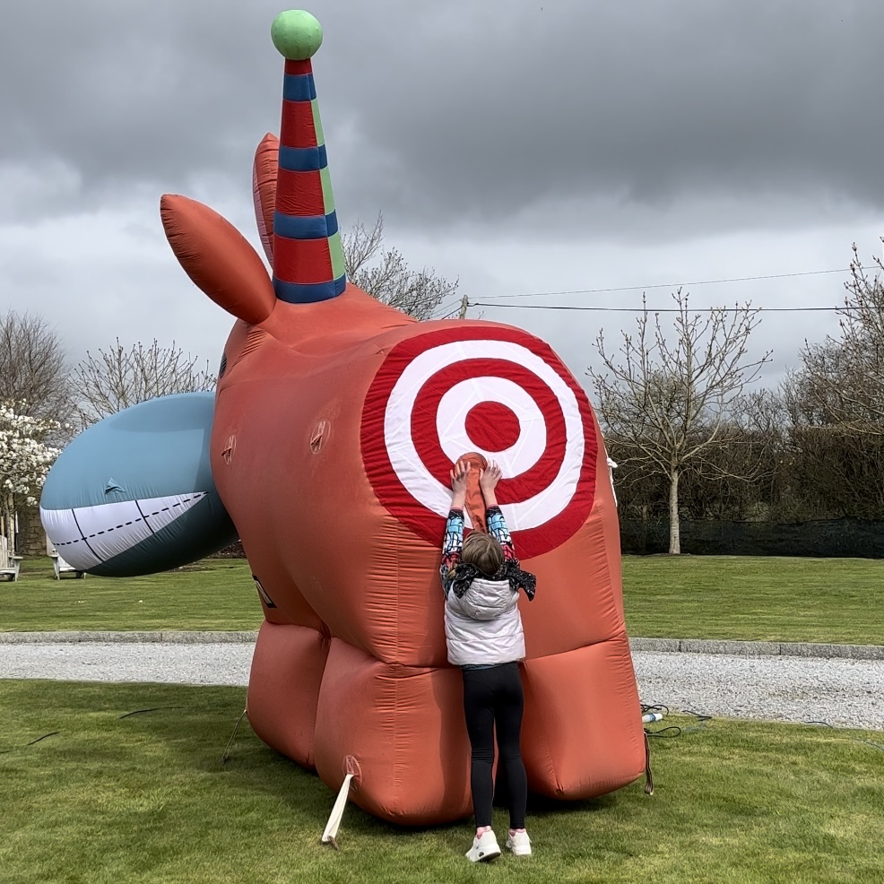 Pin the Tail on the Jumbo Donkey - Bouncy Castle Hire in Wexford Town ...