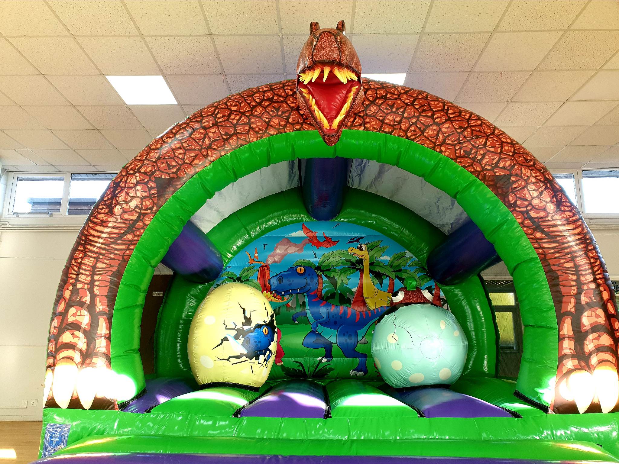 3D Dinosaur Bouncy Castle - Best Bouncy Castle Hire service in Milton ...