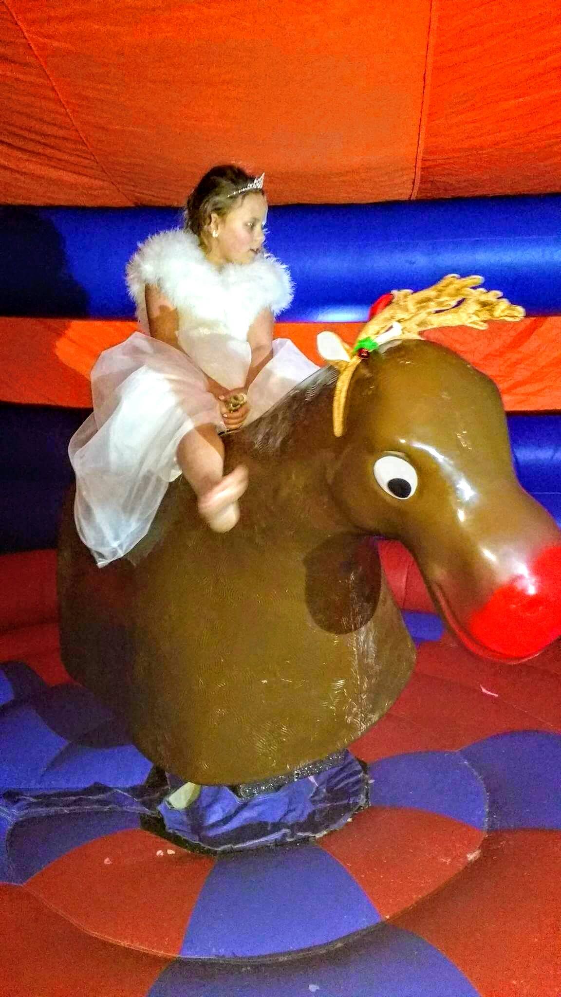 Rodeo Reindeer Hire | Swansea, Pembroke, Carmarthen, Wales