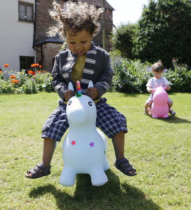 Happy Hopperz (set of 6 ) ages 12 months plus FROM £25 - Hire in ...