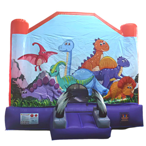 Medium 4x4m Jumping Castles & Bouncy Castles for Hire | Fun for All