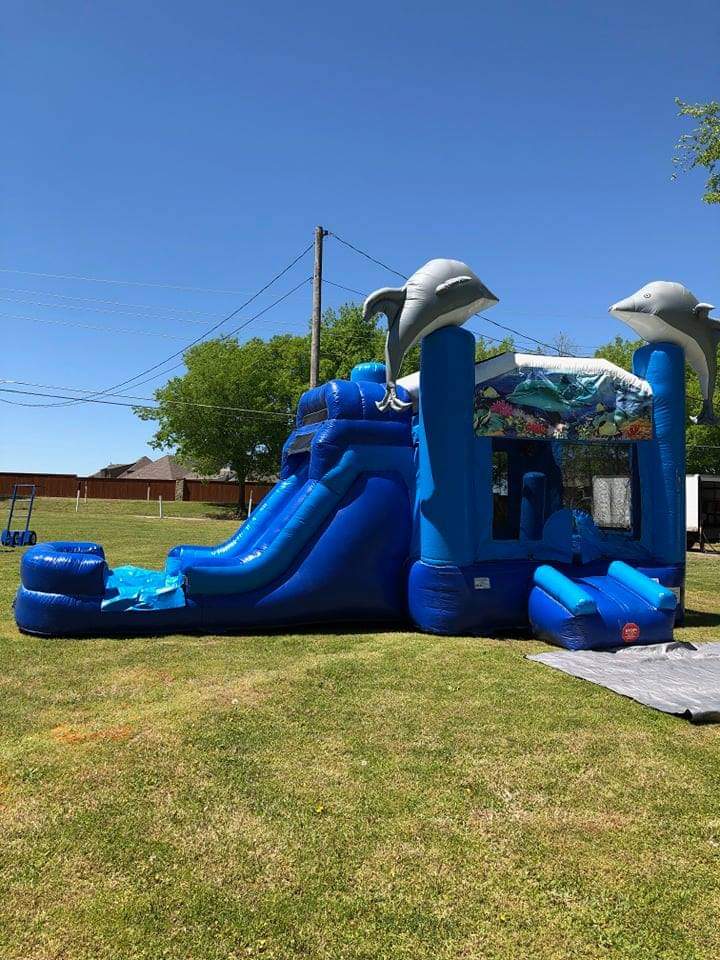 Dolphin Water Combo - Inflatables and Equipment Rental in Oklahoma ...
