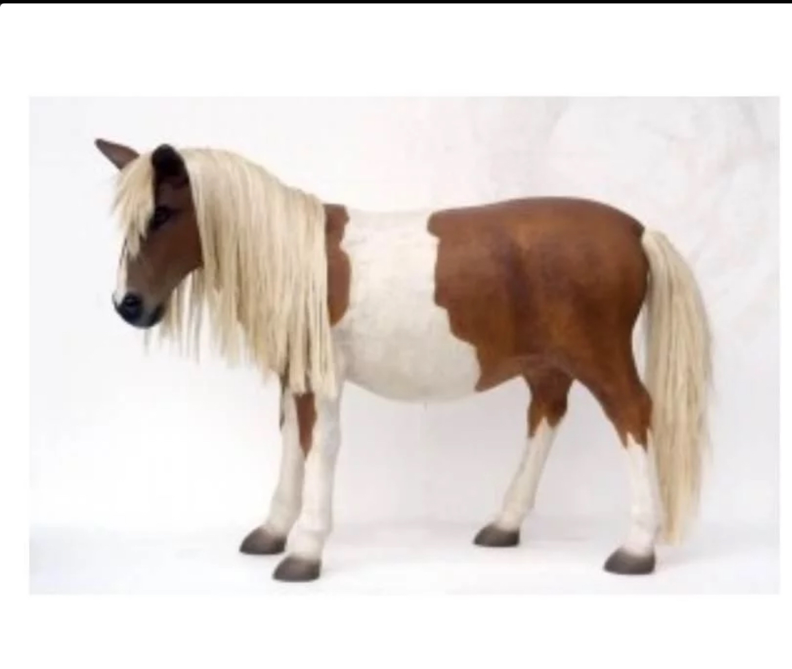 Life-Size Shetland Pony Prop Hire