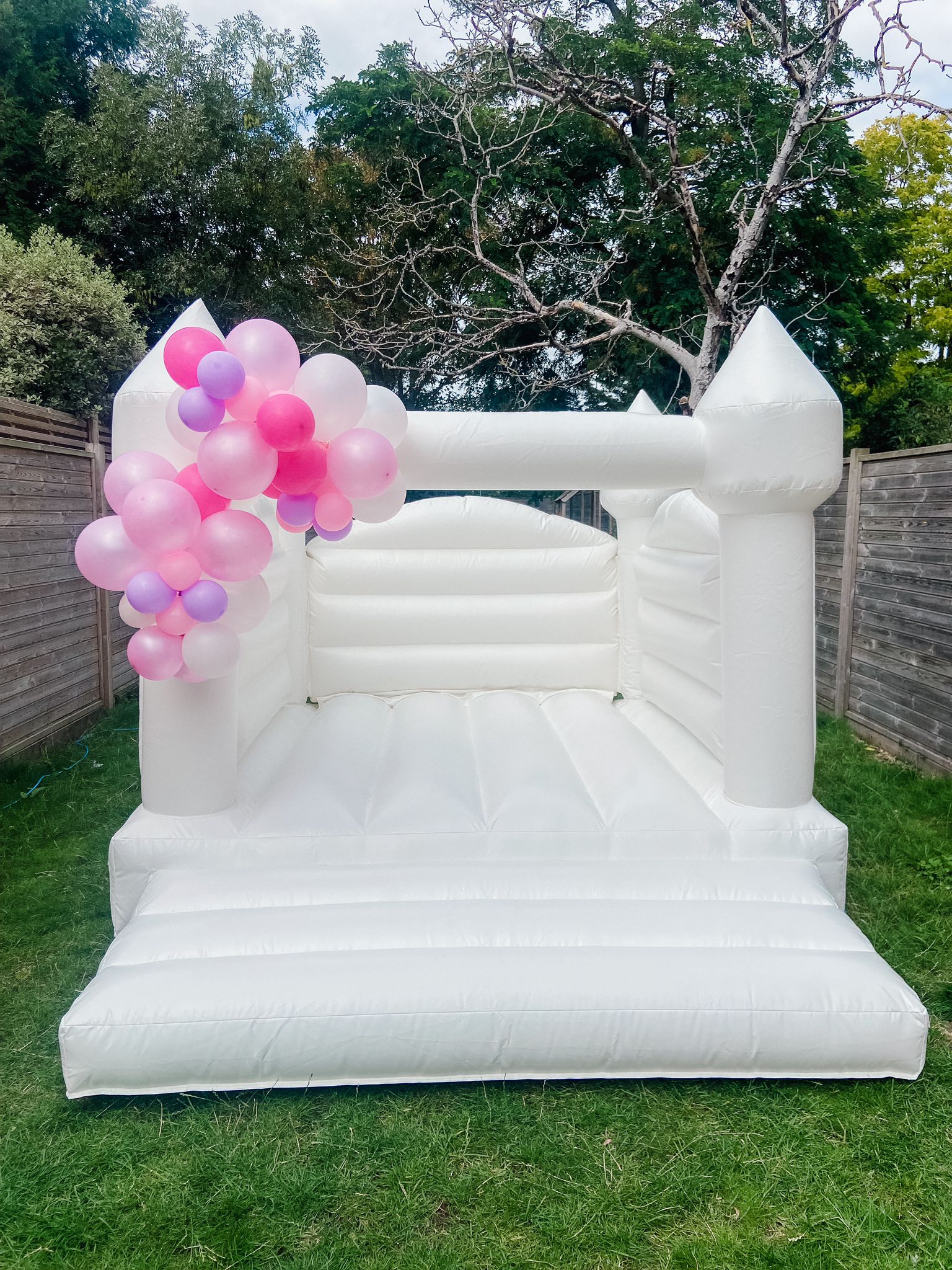 Aphrodite the Whitey (Tots 8ft x 11ft) - Hire in Hampton Hill | Pop ...
