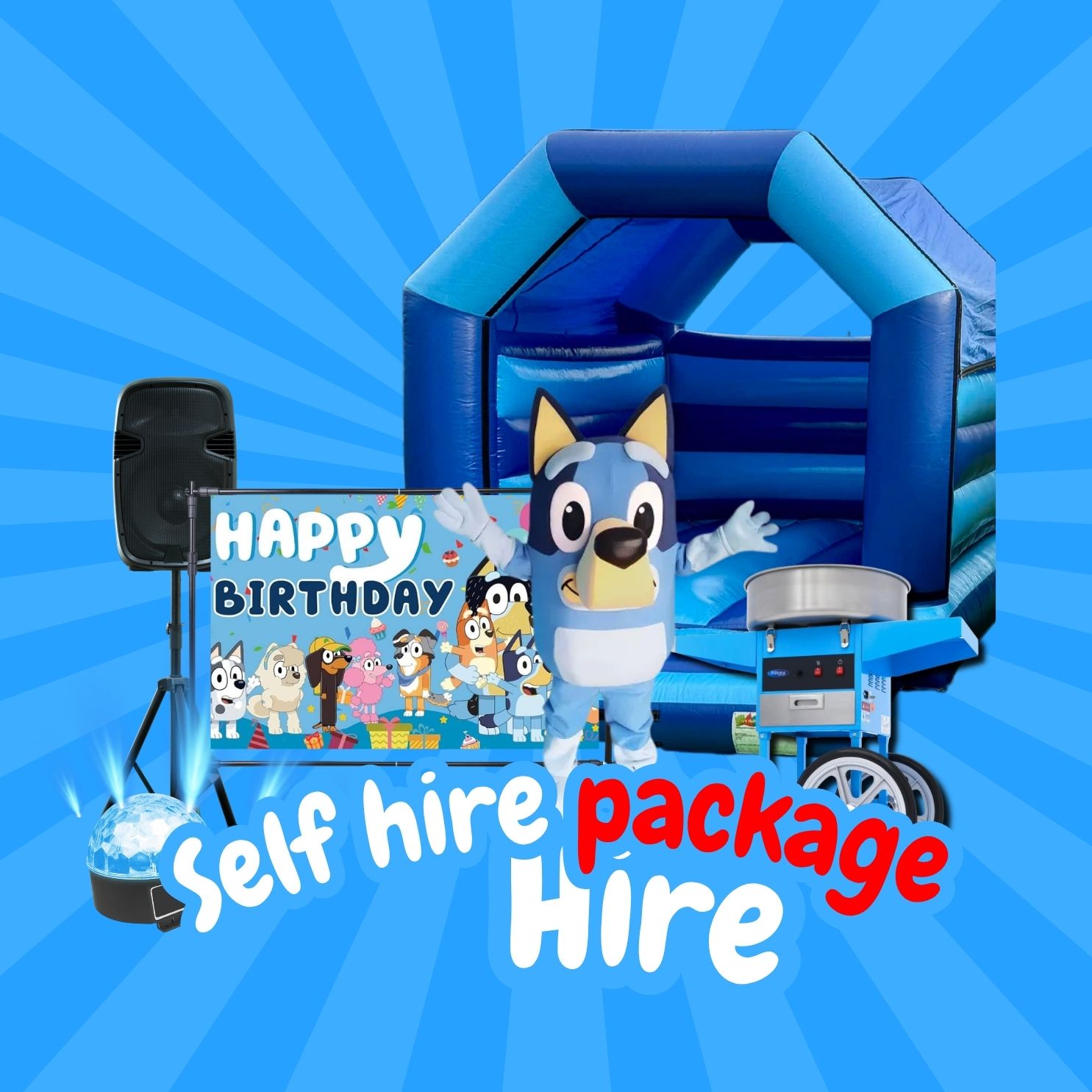 Bluey Mascot Services