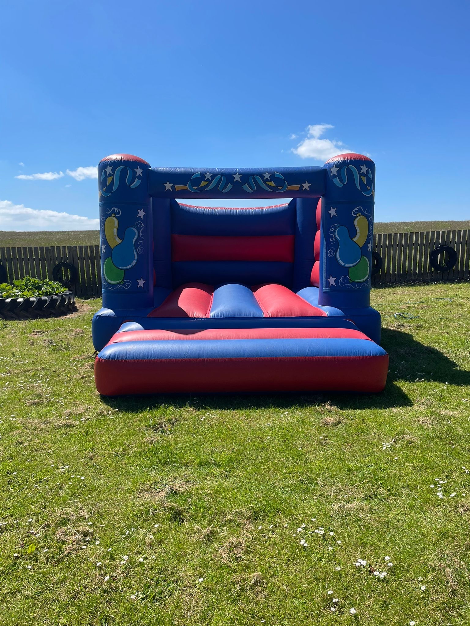 Balloon indoor castle - Bouncy Castle and Rodeo Bull hire in Cumbria ...